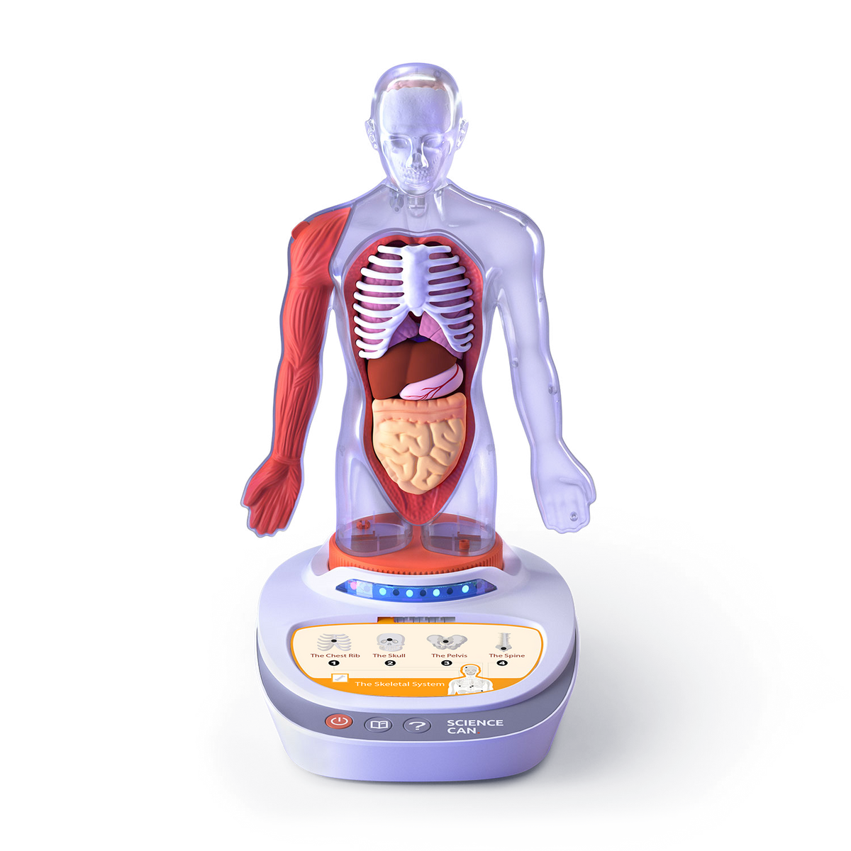 My Body Voice Pedia